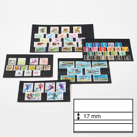 Approval cards with 2 strips (ACD/2SSPEC), 100 pieces at Lighthouse Canada